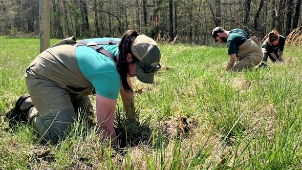 MDC Collaborates With University of Illinois For Ongoing Crayfish Study ...