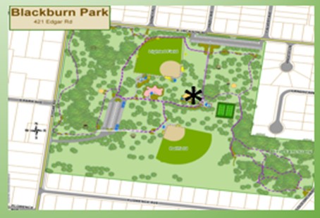 Webster’s Champion Birder: Phoebe Snetsinger’s Fans Gather For ...